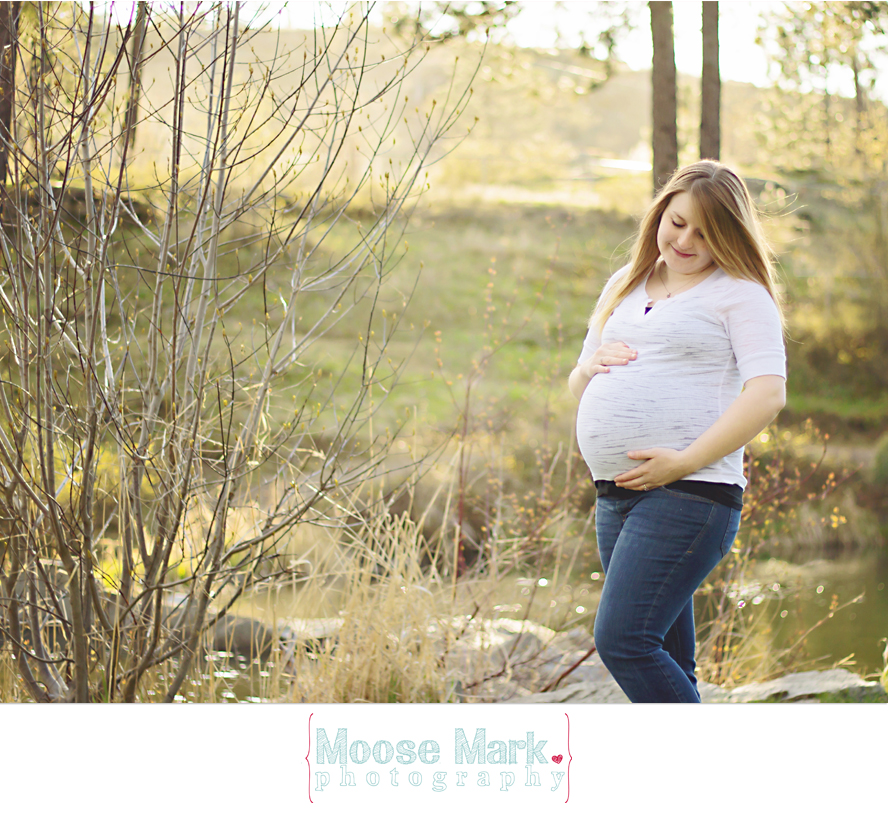 Moose Mark Photography