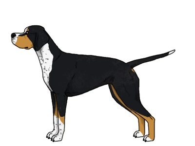 Furry-Paws Dog Breed Colors : Pointer Colors