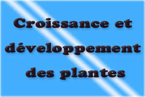 cours de croissance et développement des plantes pdf