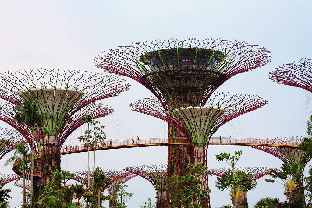 The Supertrees of Singapore ~ Kuriositas