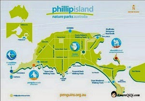 Sightseeing Tours Australia: See the Seals at the Nobbies on Phillip Island