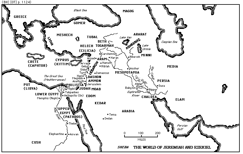 Bible Book Club: Jeremiah 24 & 25 - Figs and a Cup