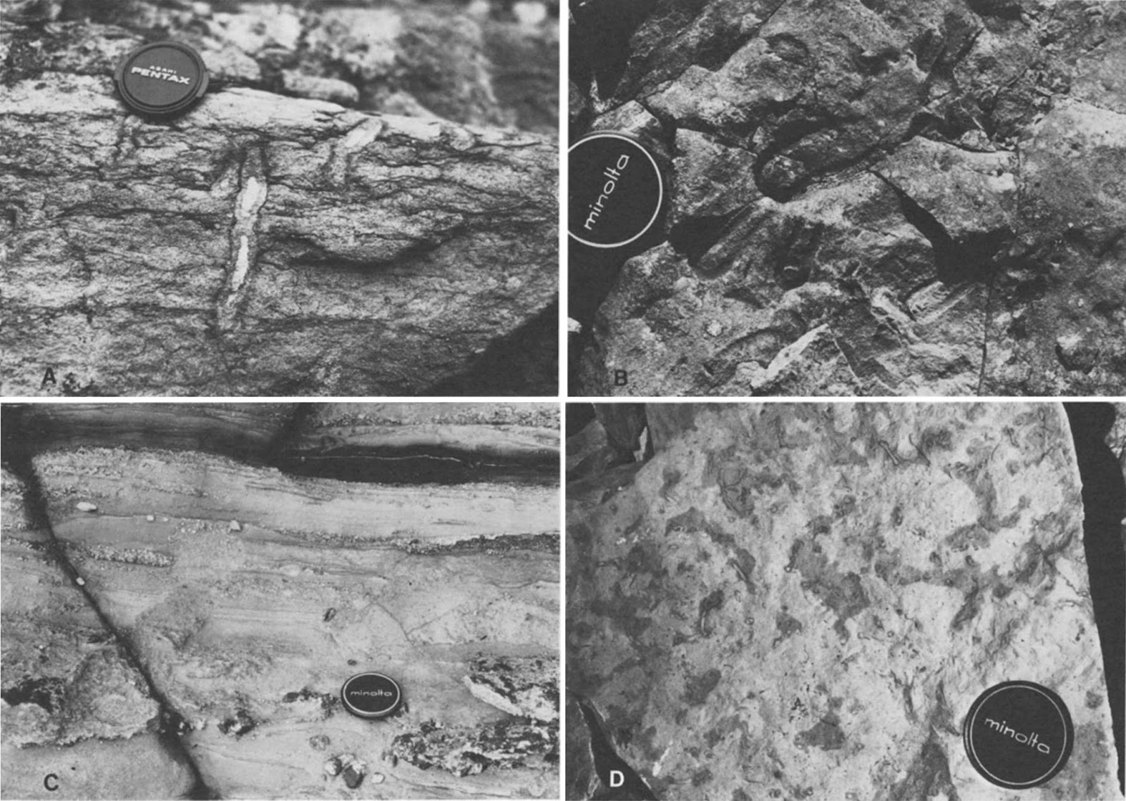 Learning Geology: Describing surface stratigraphic sections