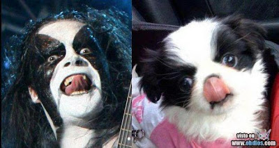 Humor animal - Mundo Feliz