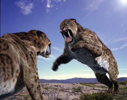 Carnivores Ice Age Smilodon