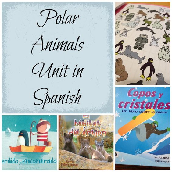 Debbie's Spanish Learning: Polar Animals Unit in Spanish