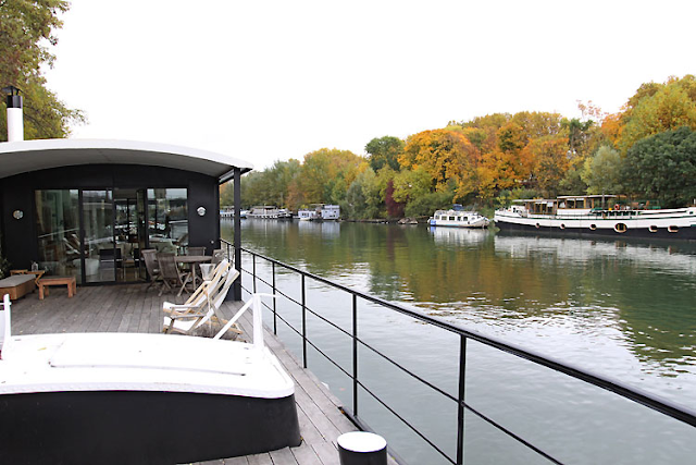 Renée Finberg ' TELLS ALL ' in her blog of her Adventures in Design ...