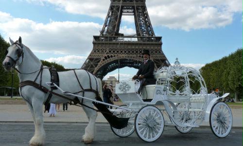 CHARRETE DE MADAME: História da Charrete