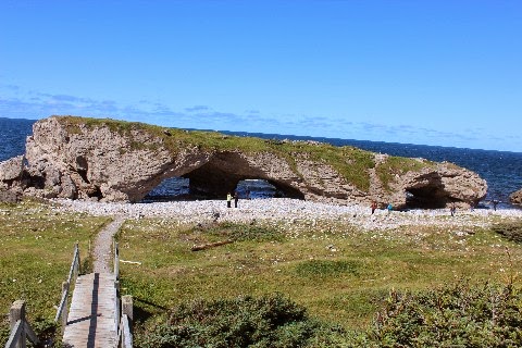 Gaspe and Canadian Provinces July 13, 2014: Day 48 - Travel Day - Deer ...