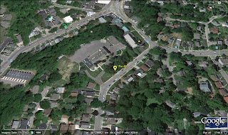 Ohio Birds and Biodiversity: Wall lizard