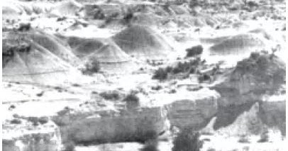 Terjadinya Pengikisan atau Erosi Yang Dihasilkan Oleh Tenaga Eksogen ...