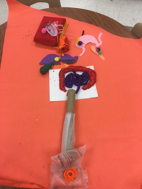 collidingwithscience: Lets Take A Journey Through the Digestive System ...