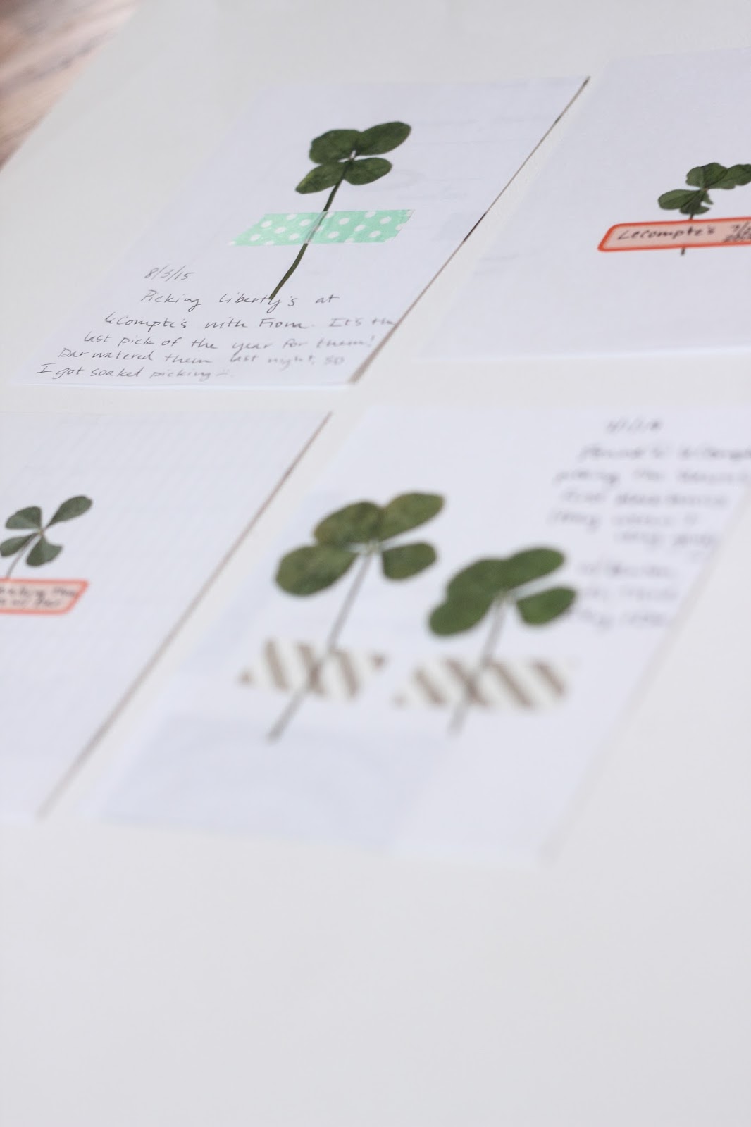 like pearls on a string: how to find four-leaf clovers