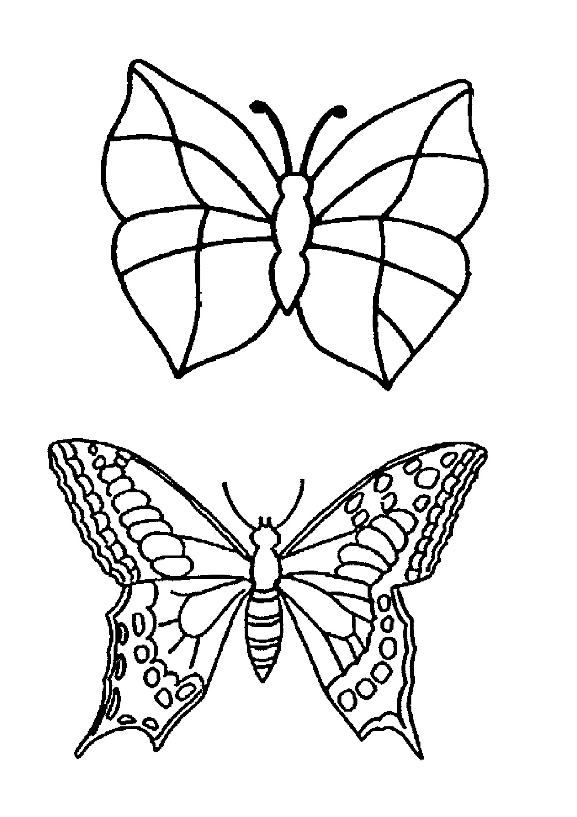 MODELE de FLUTURASI de colorat :: Fise de lucru - gradinita si scoala