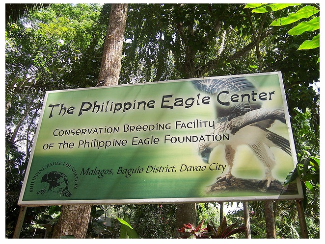 Vacation Spot - Dream Vacation Destination: Philippine Eagle Center ...
