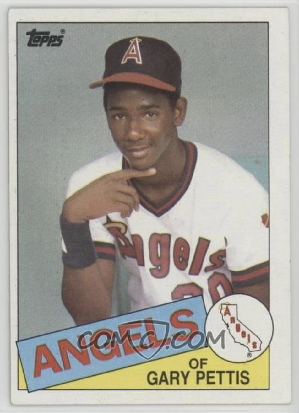 The Chronicles of Fuji: Mistaken Identity