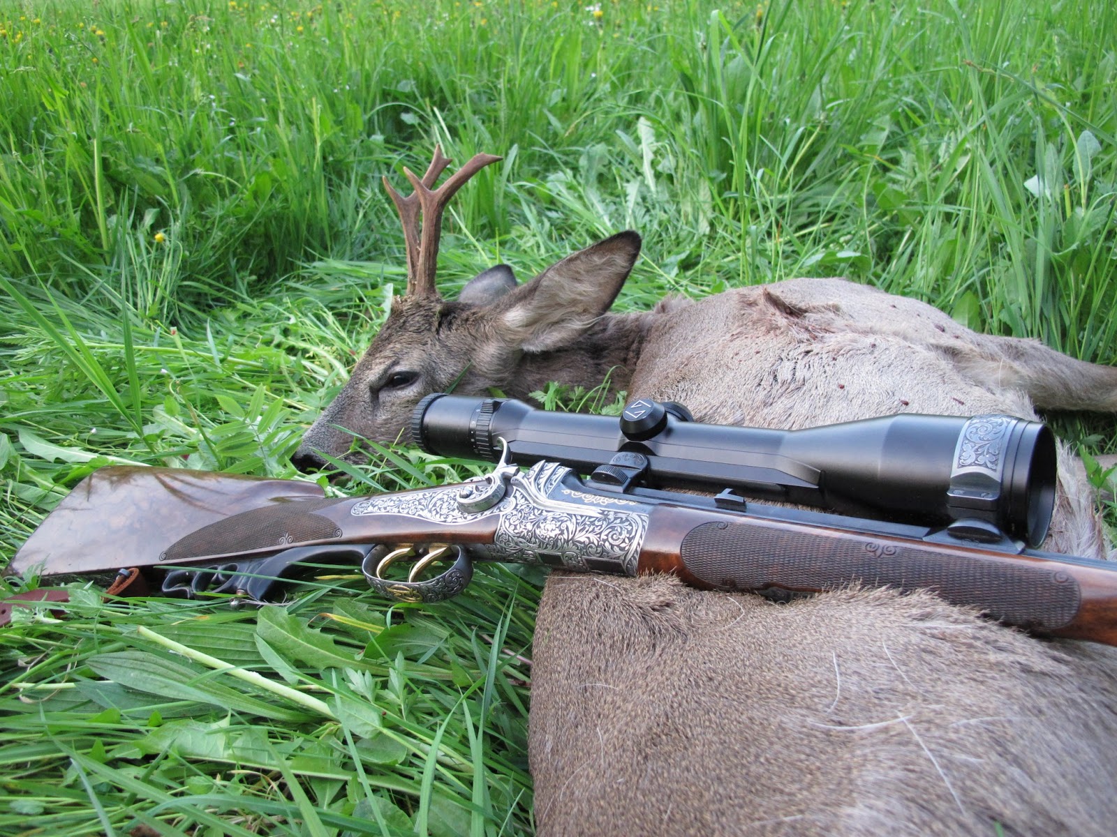 DIIZCHE SAFARI ADVENTURES Blog: Roe Deer Hunting in Germany~An American ...