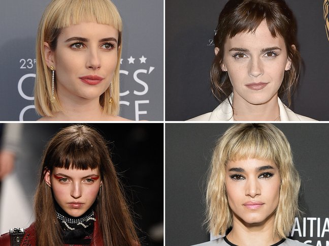Short, shorter, Micro Pony: The short pony comes out big in 2018