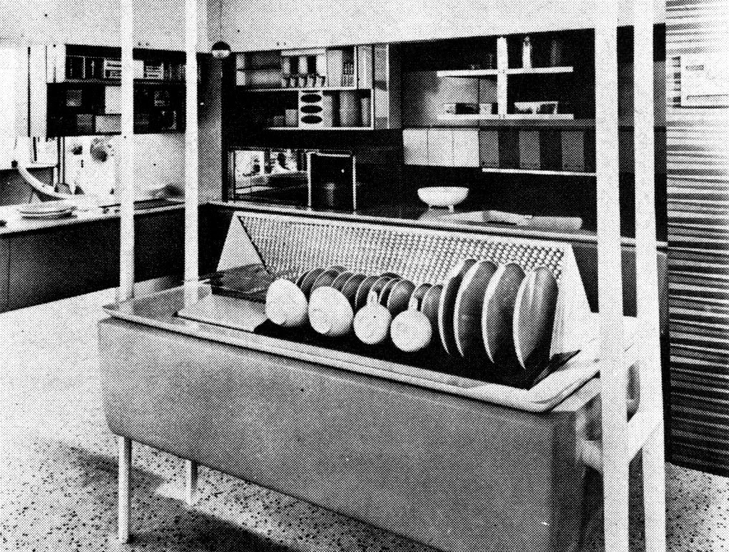 Disney Avenue: Living in the Monsanto House of the Future