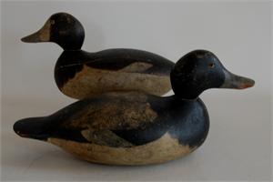 Wood and Words: After