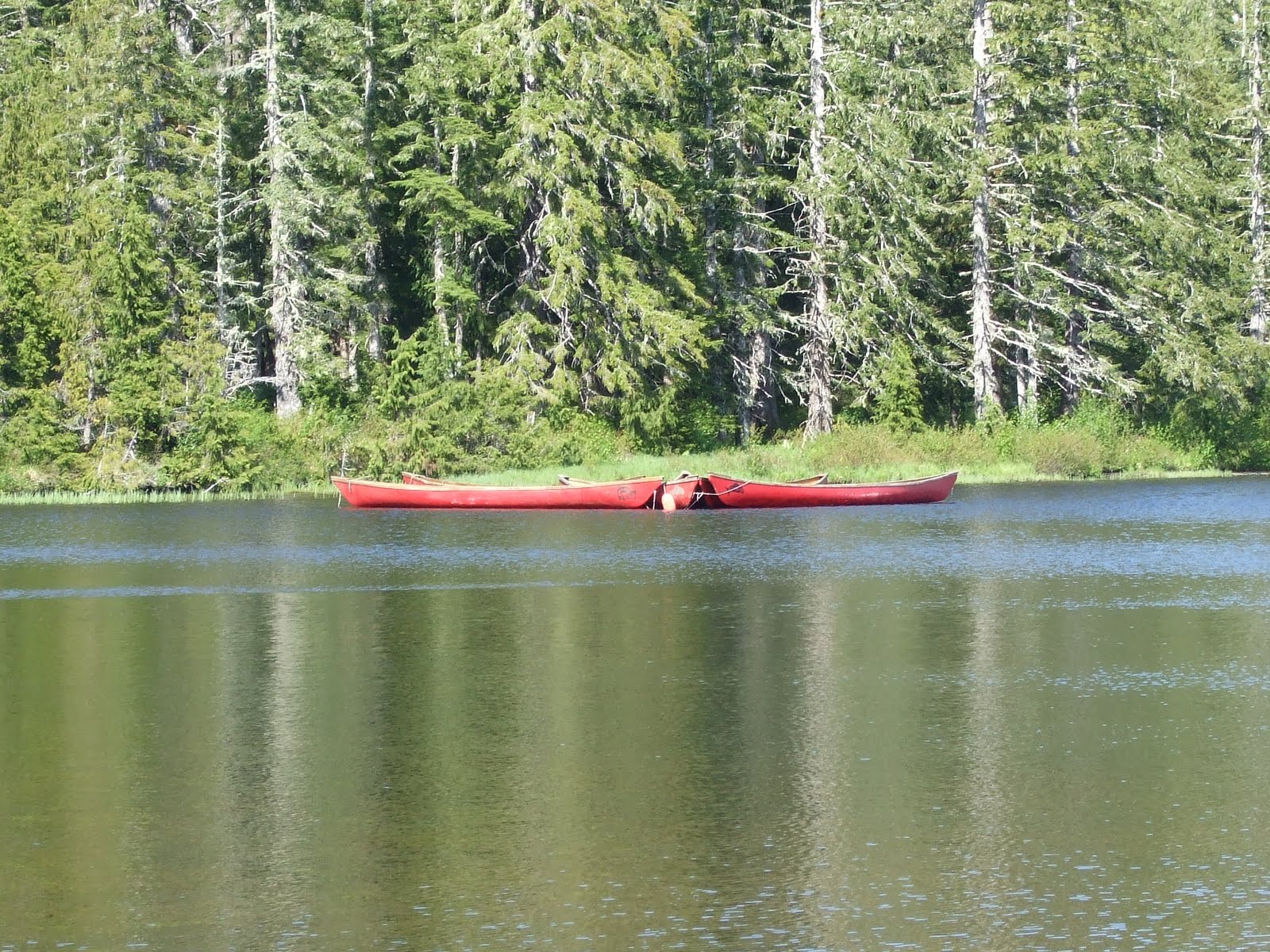 Dispatches from Camp Ketchikan: Ward Lake and Harriet Hunt Lake