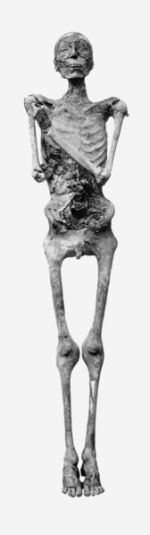 Sobre momias y momificaciones: junio 2012