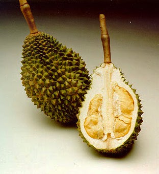 Durian Info: Durian Varieties In Thailand