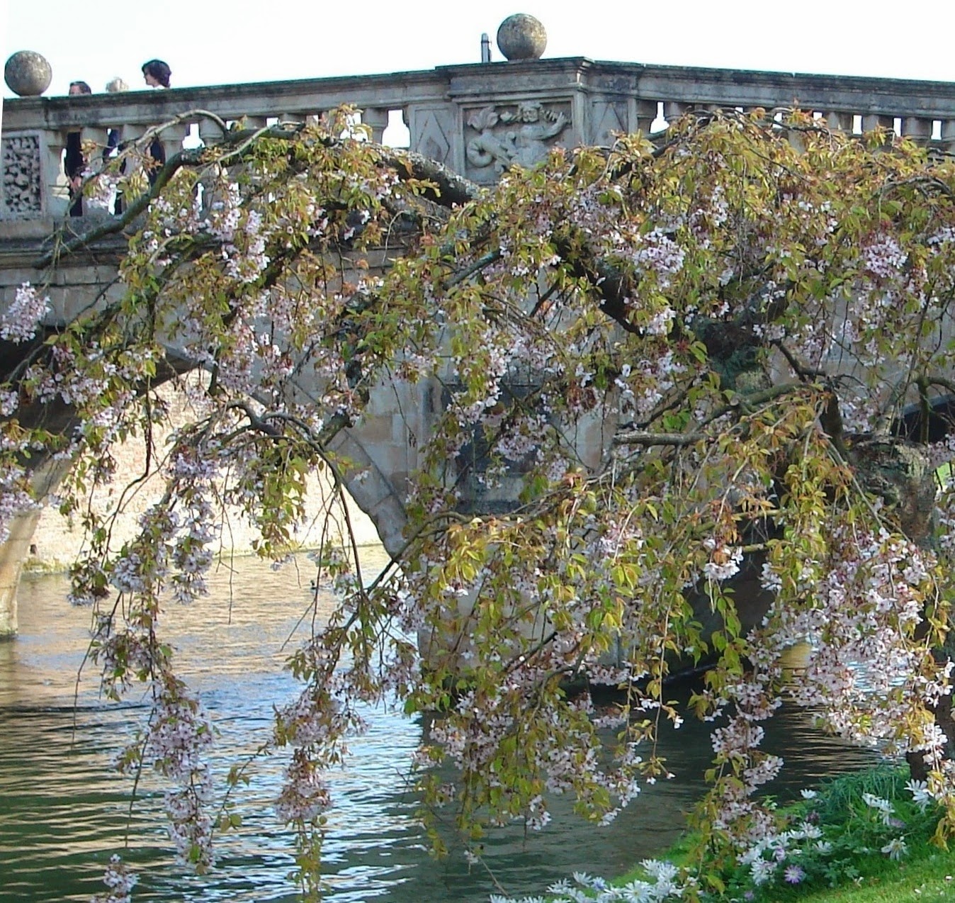 Oxbridge Entrance News: OXBRIDGE WANTS YOU TO HIT THE TOWN
