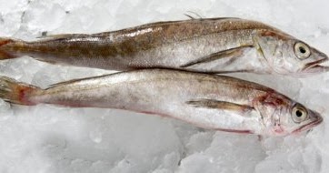 LA CONSOMMATION DU POISSON COLIN EST VIVEMENT RECOMMANDÉE ...