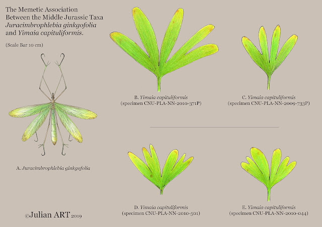 Sneaky Flies and Ginkgo Leaves: The Story of Plant Mimesis in Fossil ...