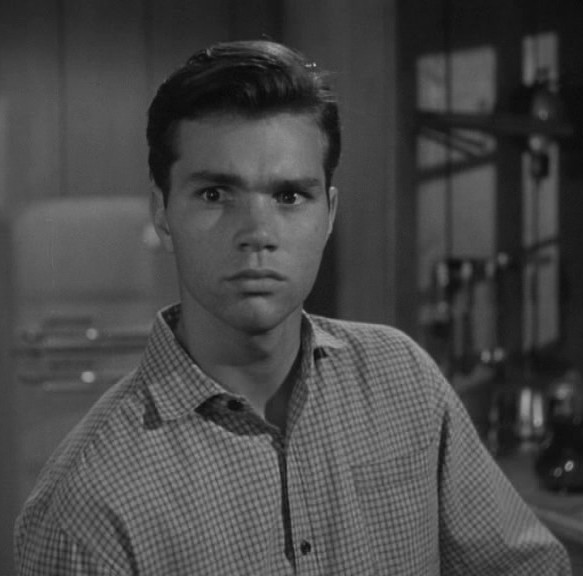 Captures Cinema: Darryl Hickman - La luz brilló dos veces [Lightning ...