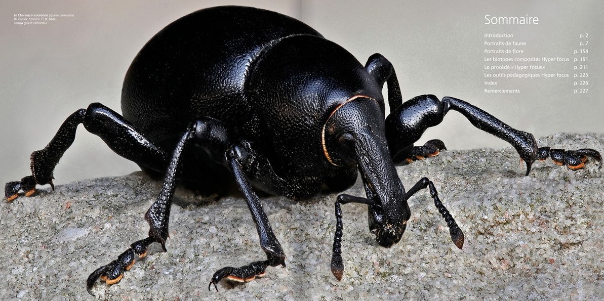 Animalia: Hyper Nature, de Philippe Martin