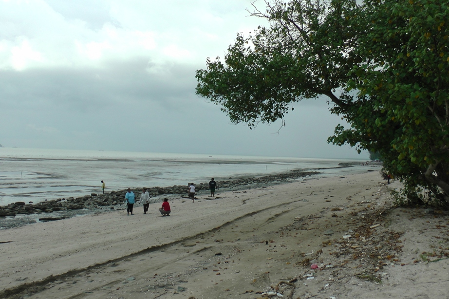 Fishing Spots in Kuala Lumpur & Selangor: Pantai Remis Beach