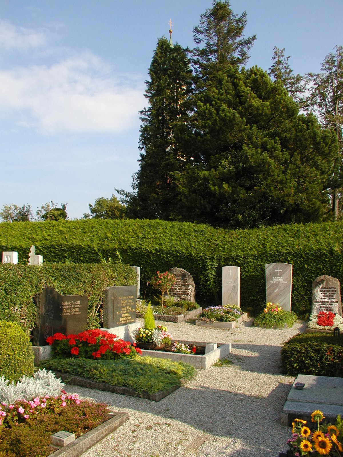 Memória Fotográfica: SS-Standartenführer Joachim "Jochen" Peiper ...