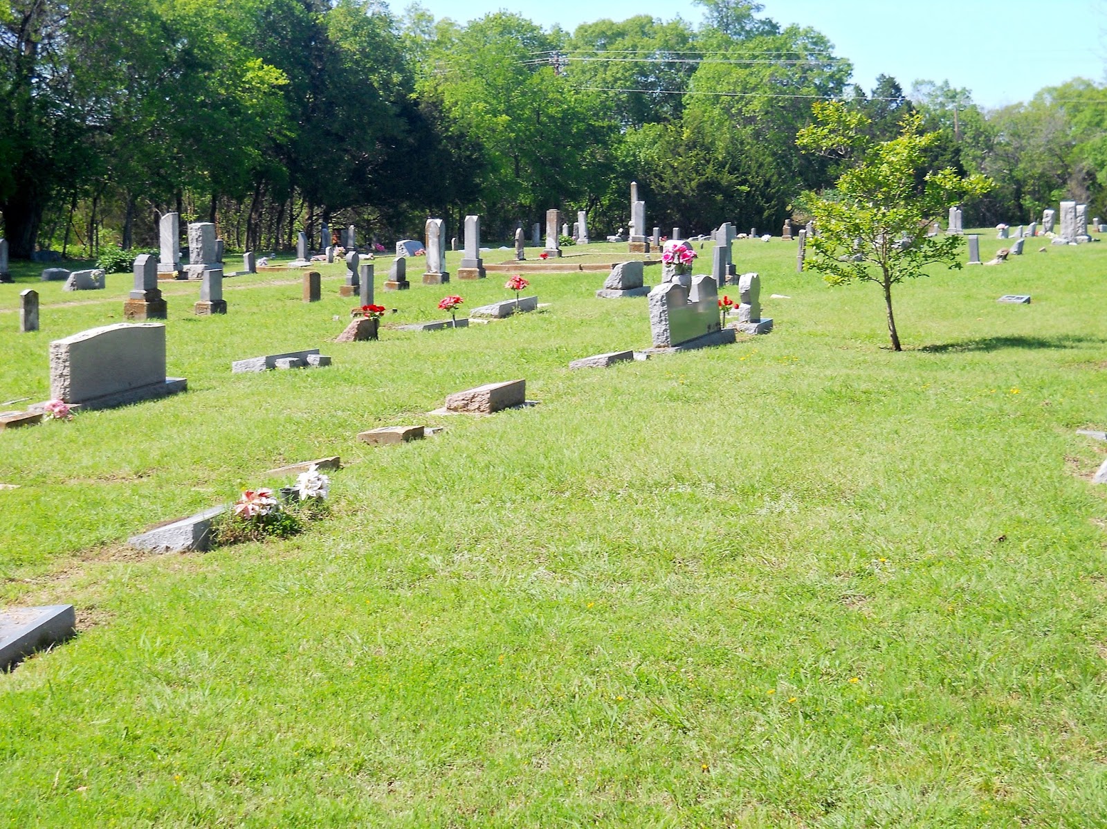 My Emphemeral Rose: Cannon Cemetery