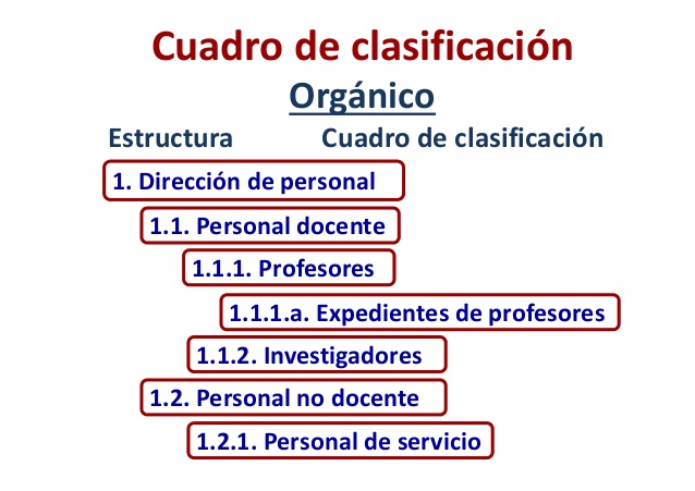 Infografia: ¿Qué es un cuadro de clasificación y cómo realizarlo ...