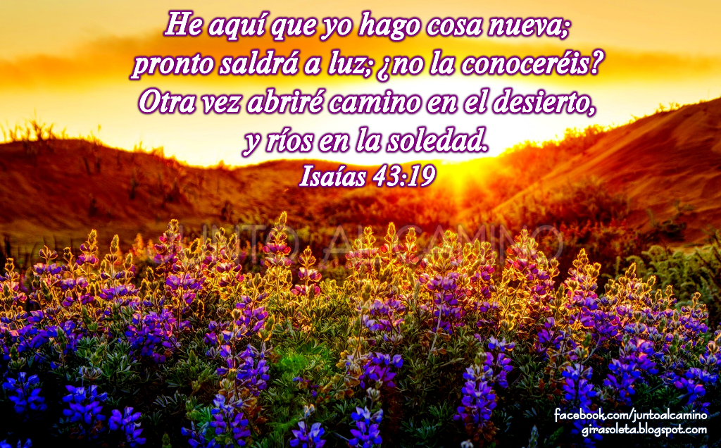 Junto al Camino: IMÁGENES CON TEXTOS BÍBLICOS