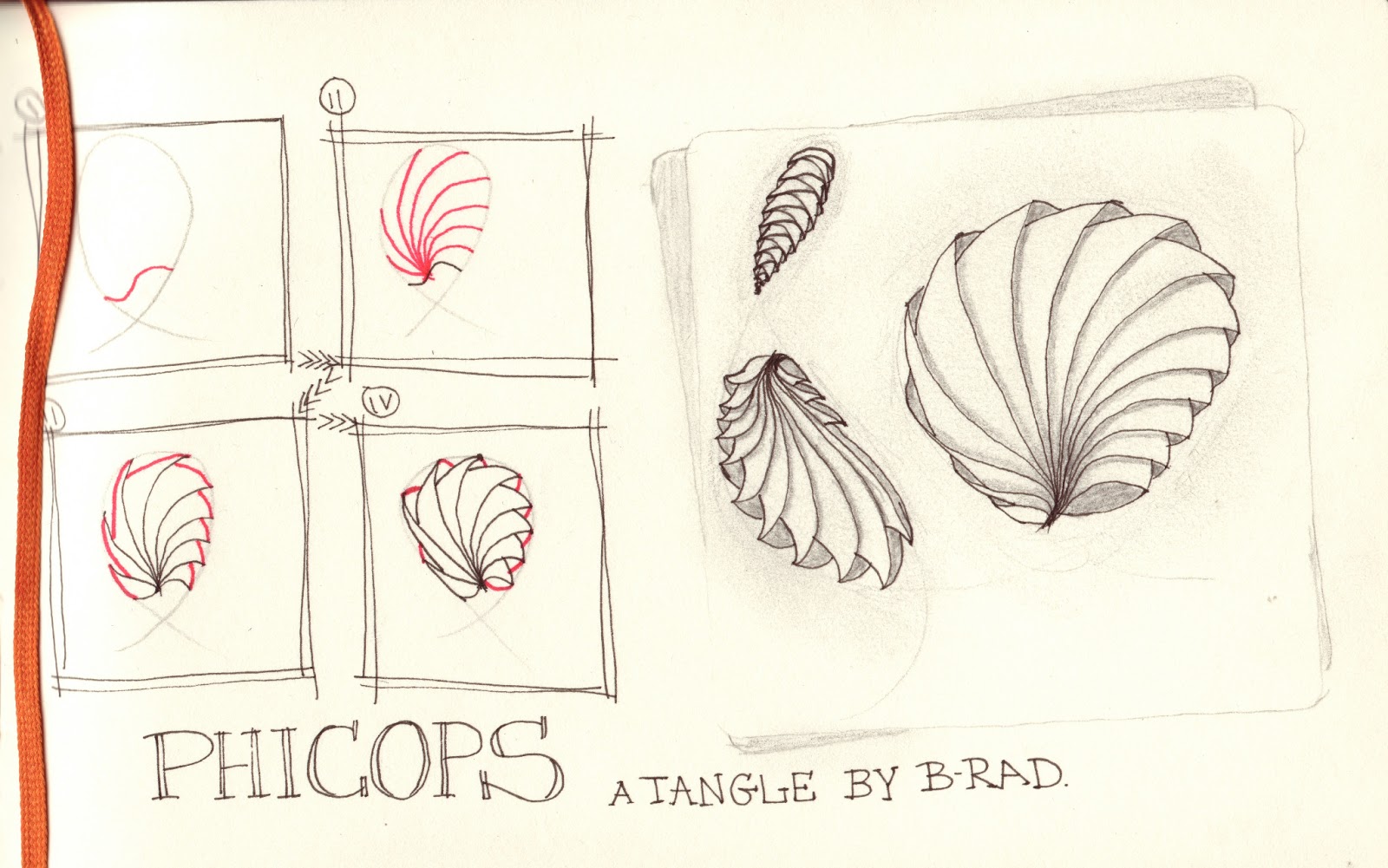 Zentangle Pattern Shells n such on Pinterest | Divas, Zentangle and ...