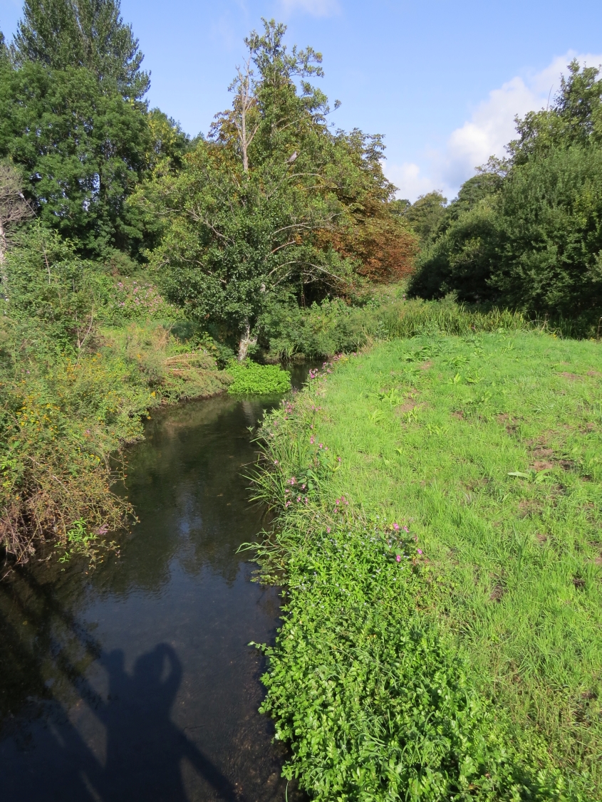 Walking Dorset's gridsquares: Frome Valley Trail - Part 2 - Maiden ...