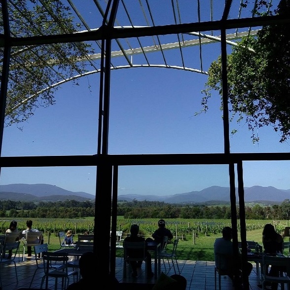 6 Destinasi Penginapan di Tengah Perkebunan Anggur di Victoria ...