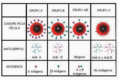 Biología 2: Herencia postmendeliana.
