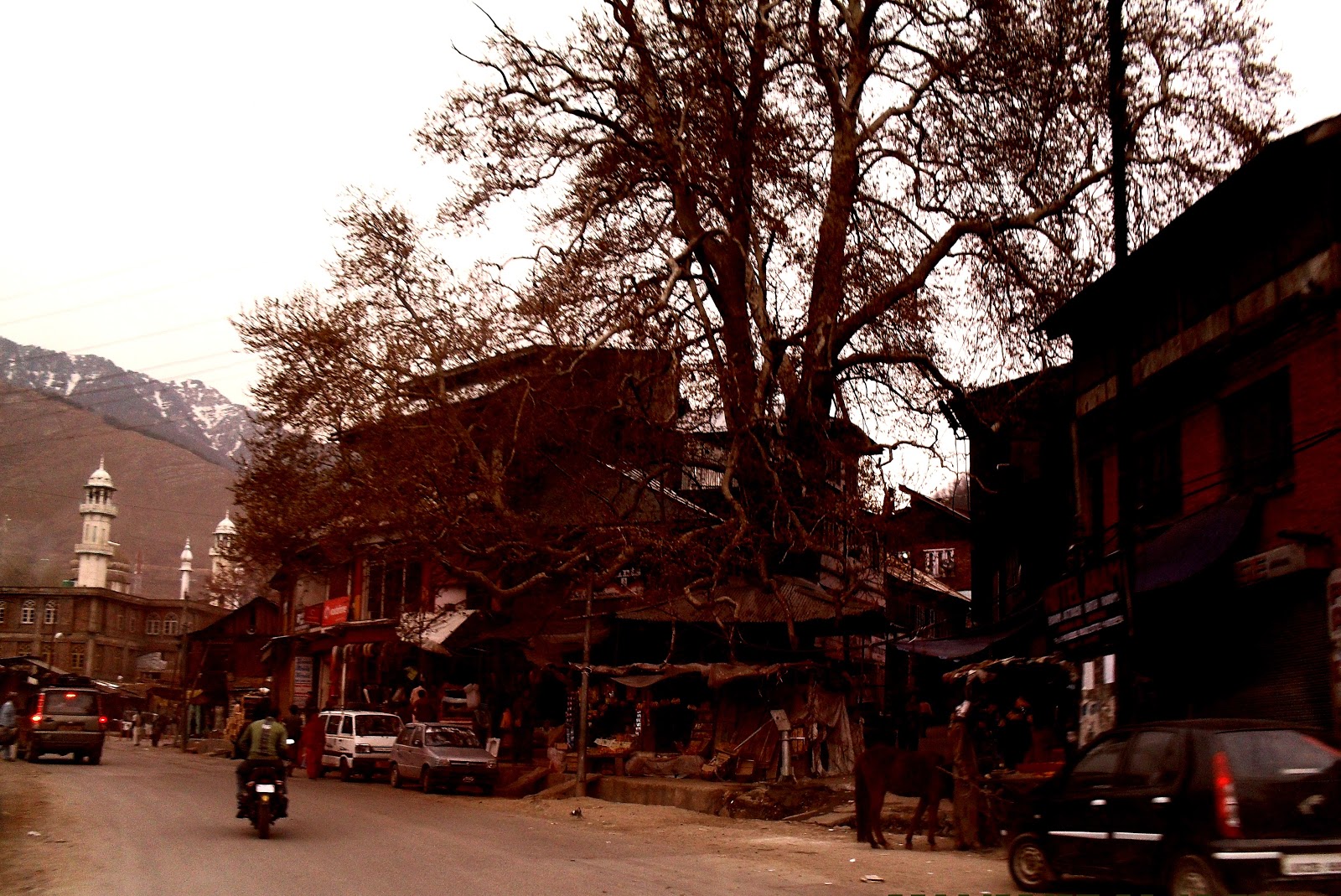 CHINAR SHADE : PIR PANJAL TRAIN TUNNEL AND BANIHAAL RAILWAY STATION IS ...