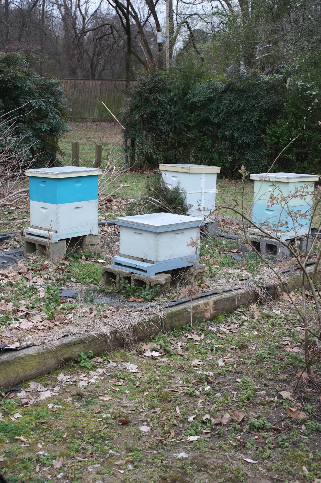 Pen & Hive: Beekeeping Problems: Tempermental Bees and Testy Weather