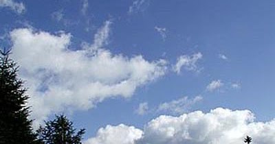 A Guide to Bigfoot: Supporting Evidence