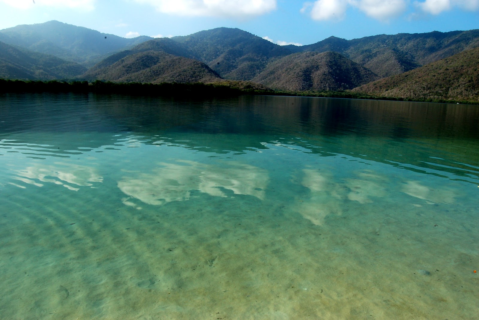 turismodeapie: La cienaga