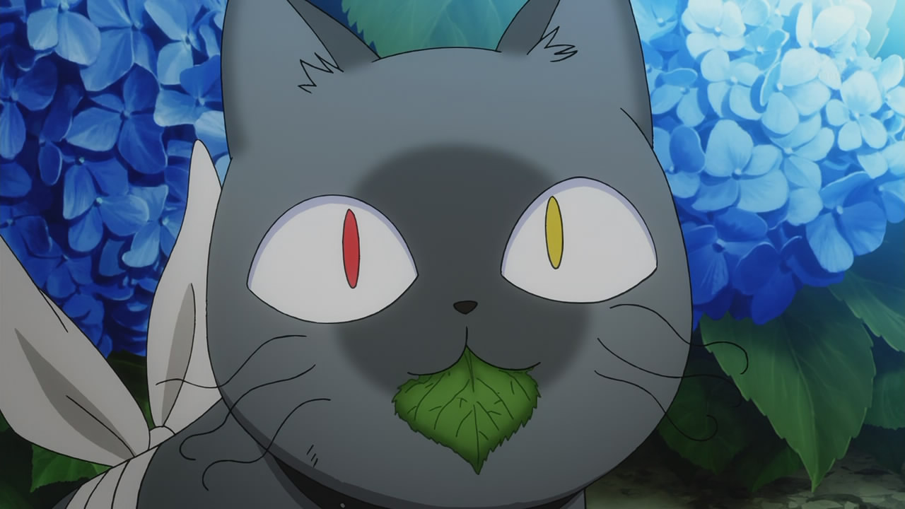 Best cat in anime? : r/anime
