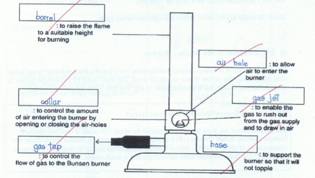 JiaJun's Blog: Science E-portfolio