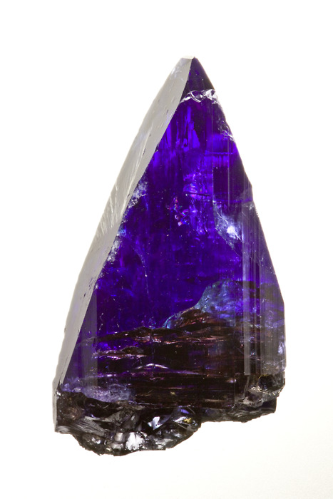 The Sr ngest Life: purple haze