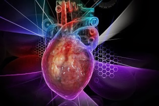 Vivir en La Luz: El Campo Electromagnético del Corazón