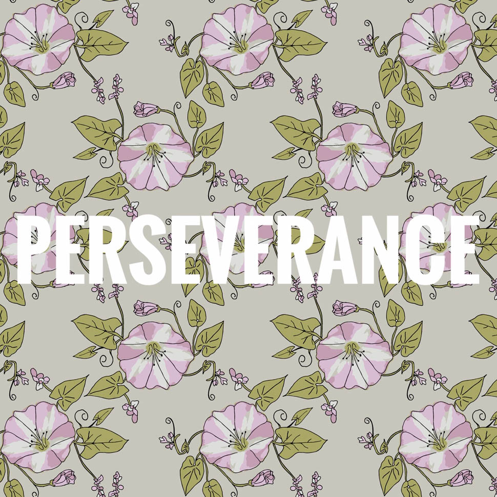 Quilting With Thistle Thicket Studio: February 2019